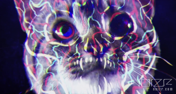 Mastodon's new video "Asleep In The Deep" with a cat in the lead role ...